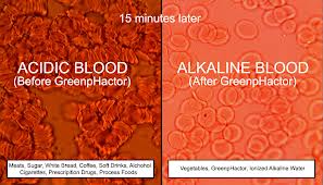Acidic vs Alkaline | Gigi Vincentine Dr. TCM. Dip, R.TCM.P., R.Ac.